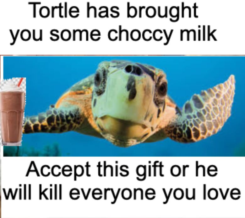 certified shitpost | Scrolller