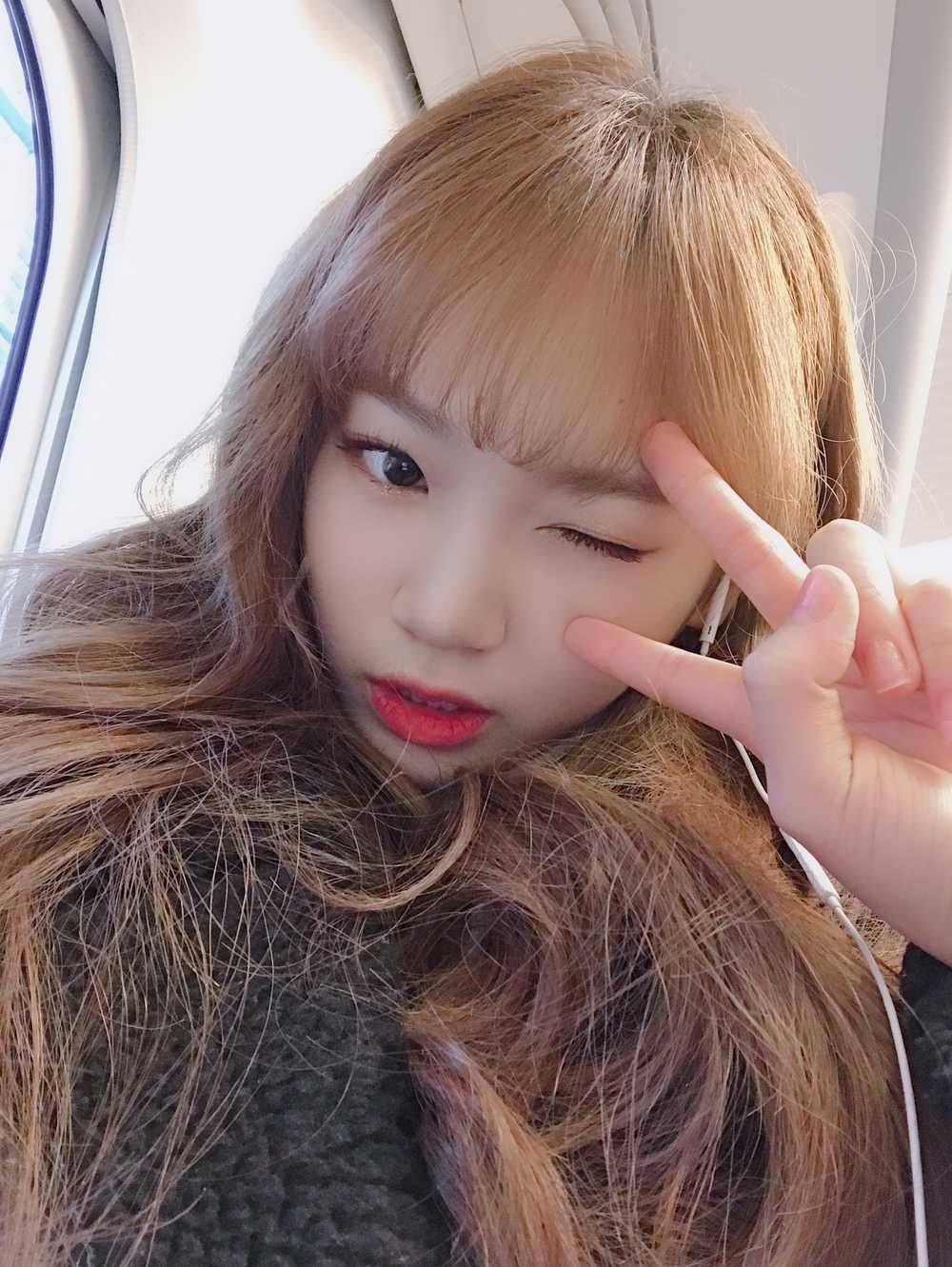 Chaewon | Scrolller