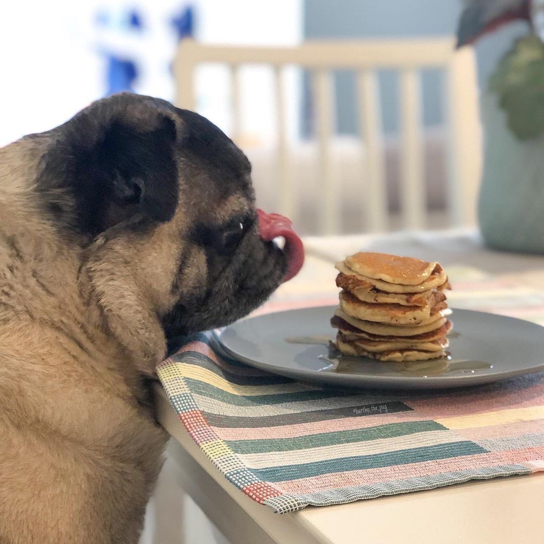 Cheat Day 🤤🥞 | Scrolller