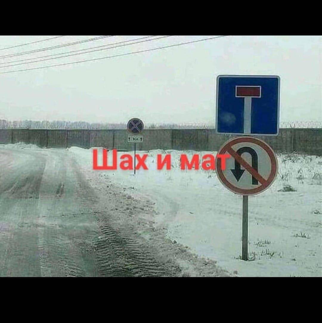 Check and mate! | Scrolller