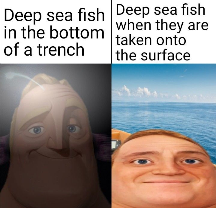 Check comments for reference | Scrolller