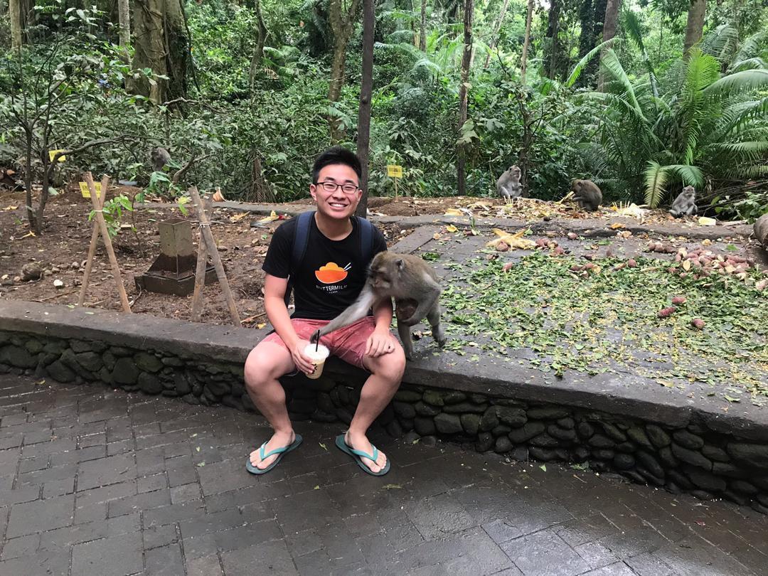 Cheeky monkey | Scrolller