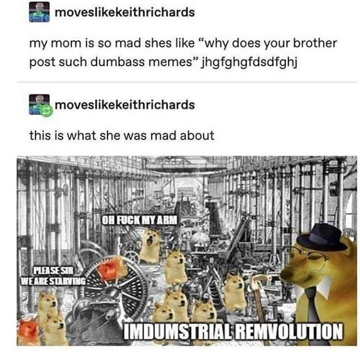 cheemsburbger - ⚠️snrf⚠️ | Scrolller