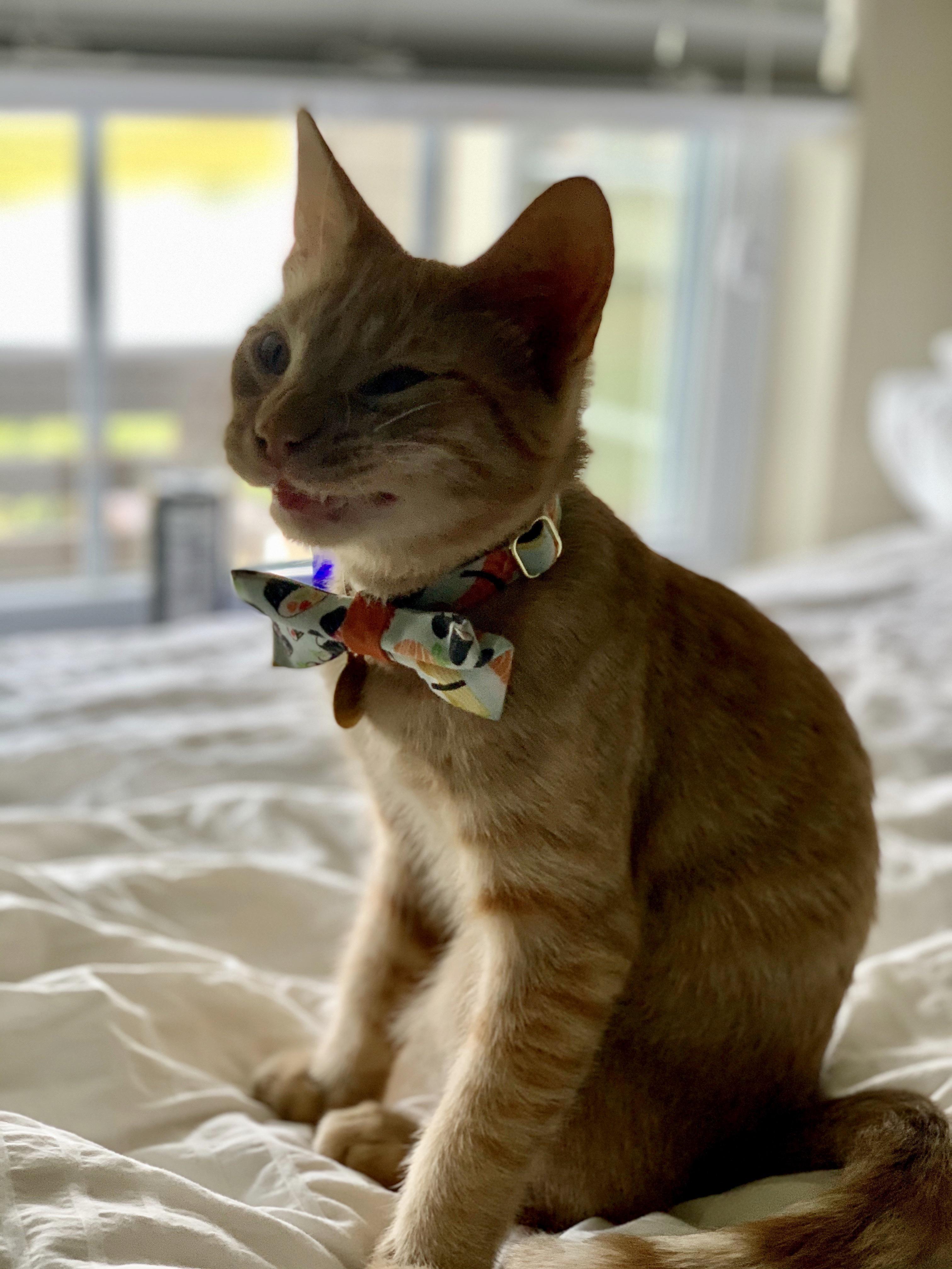 Channeling his Stuart Little | Scrolller