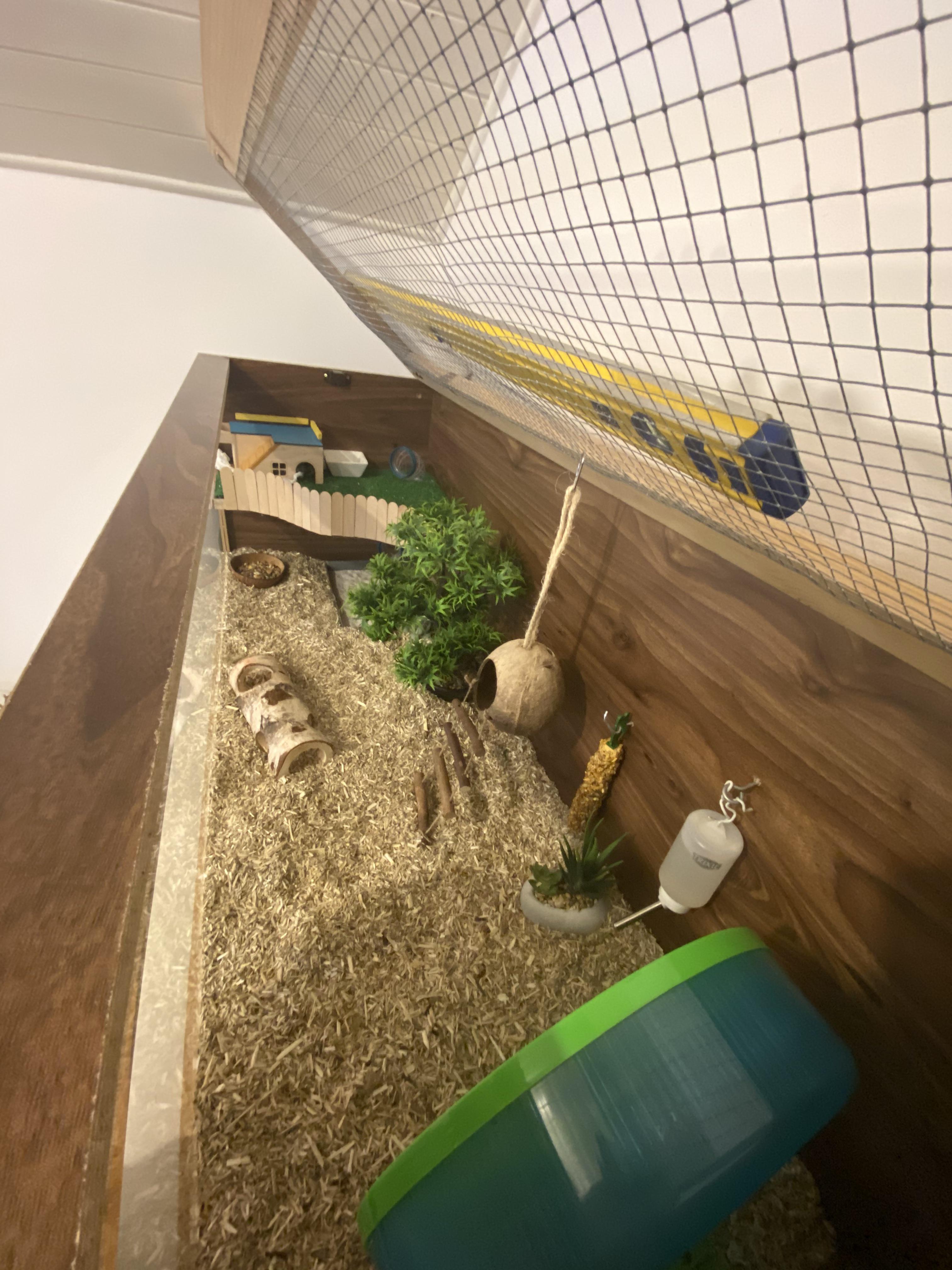 Cheeseburger’s enclosure! | Scrolller