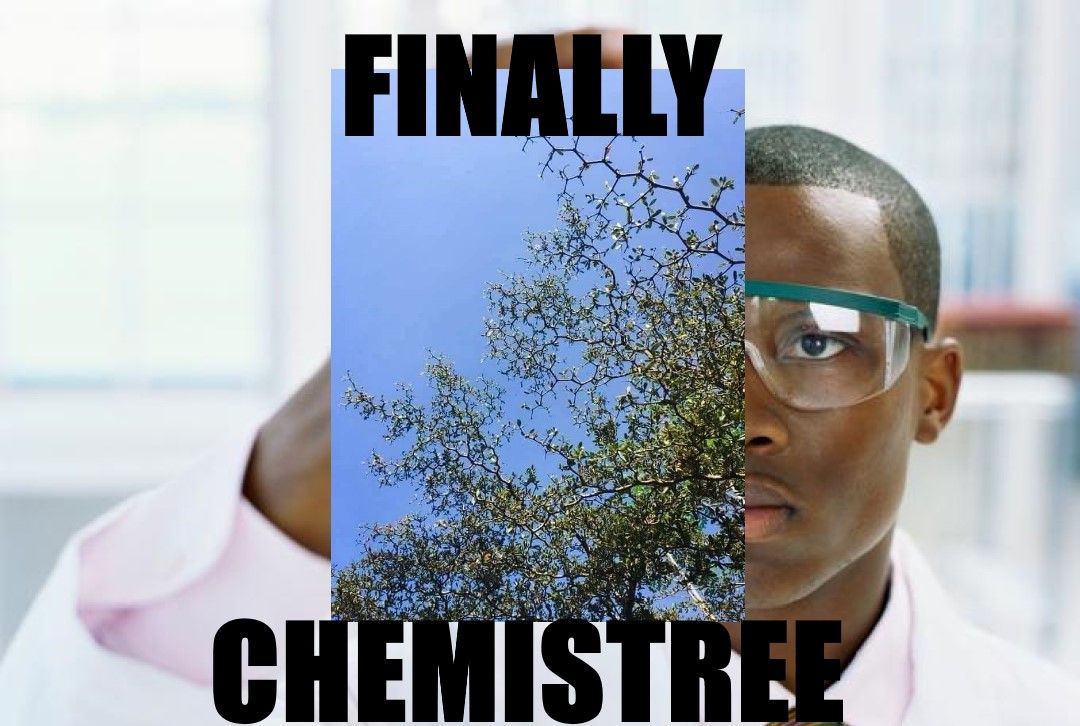 chemistree's are nice looking trees | Scrolller