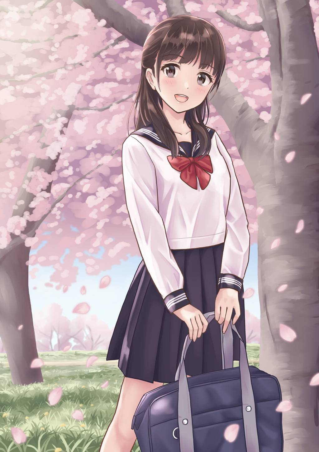 Cherry blossoms | Scrolller