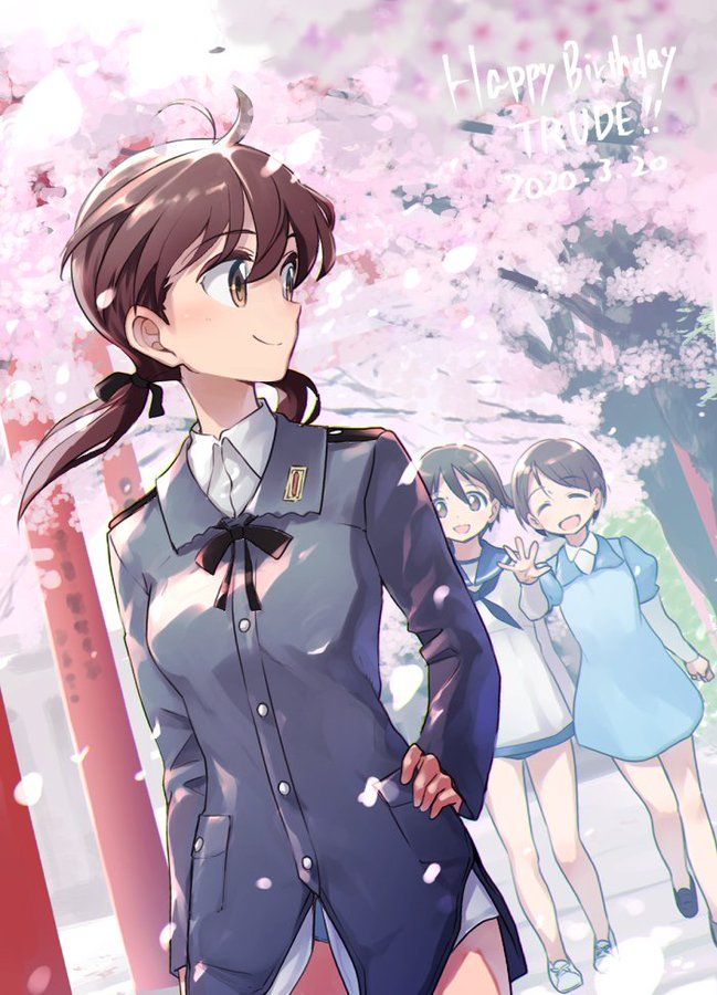 Cherry Blossoms | Scrolller