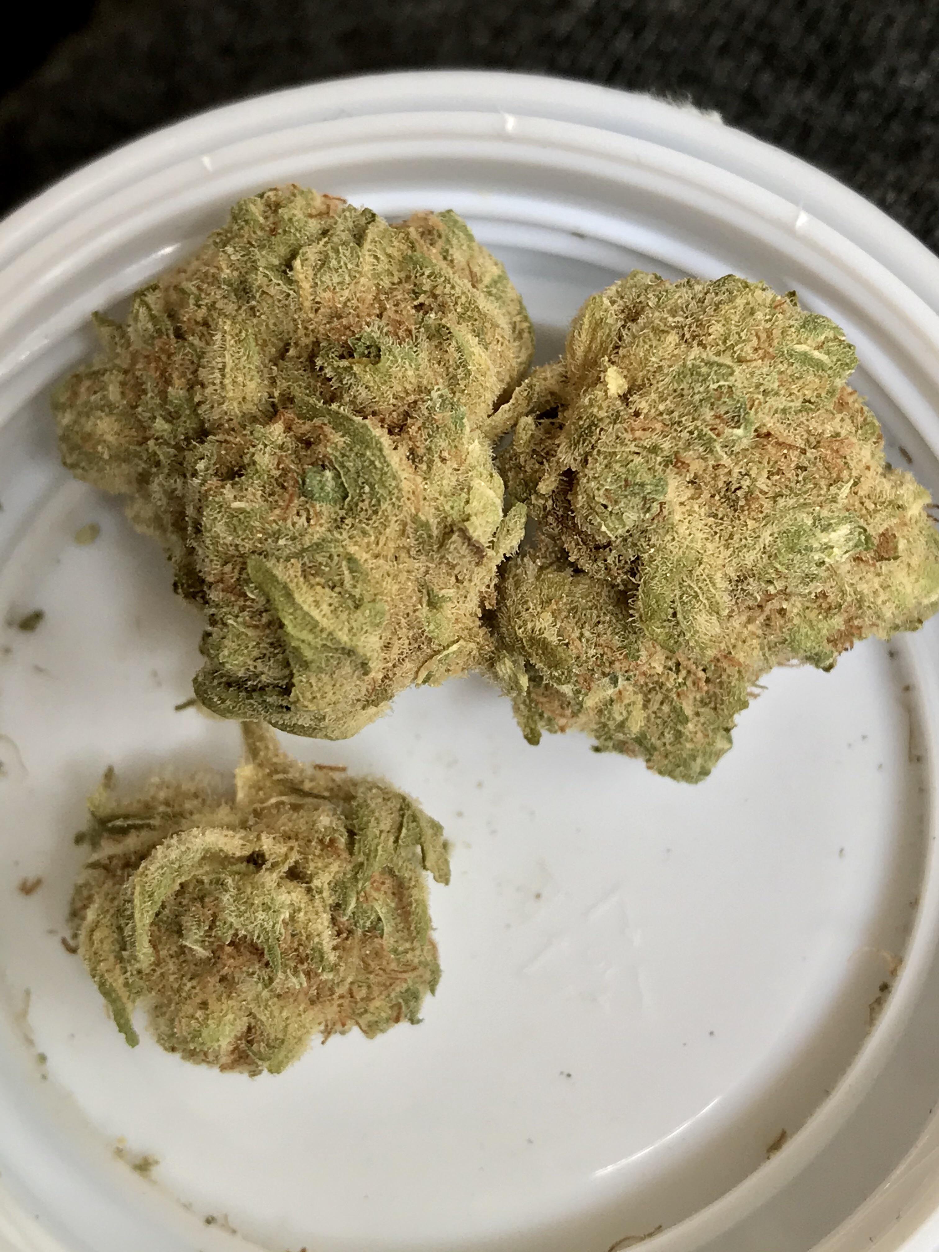 Cherry Bomb | Scrolller