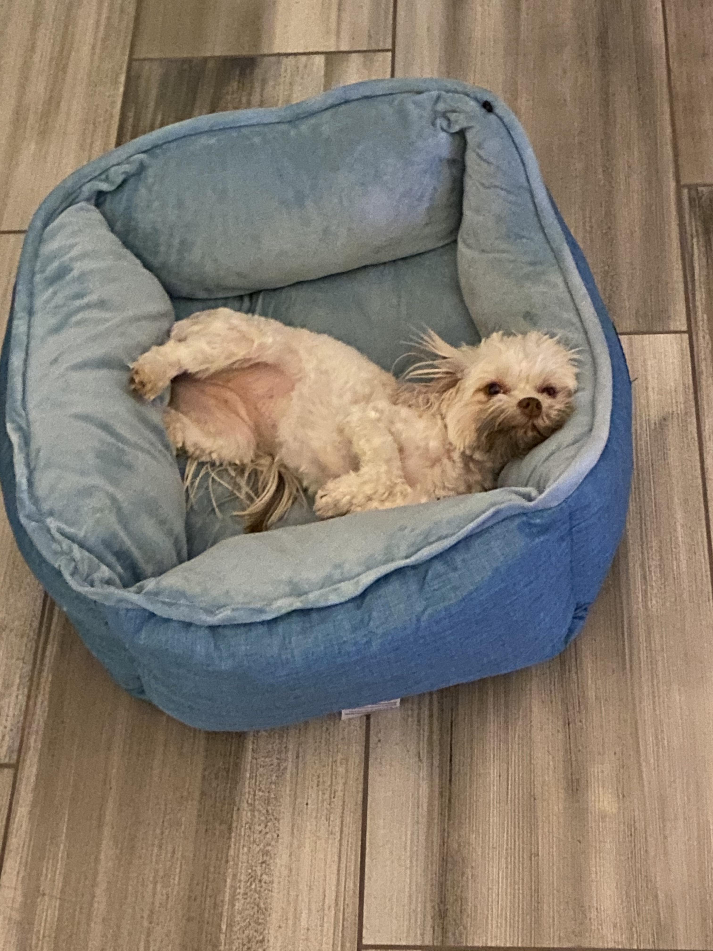 Chillin Like A Villain Scrolller