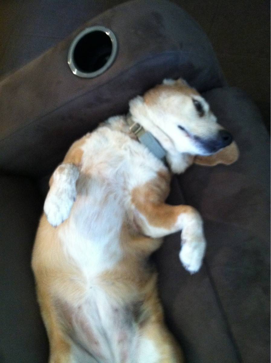 Chilling | Scrolller