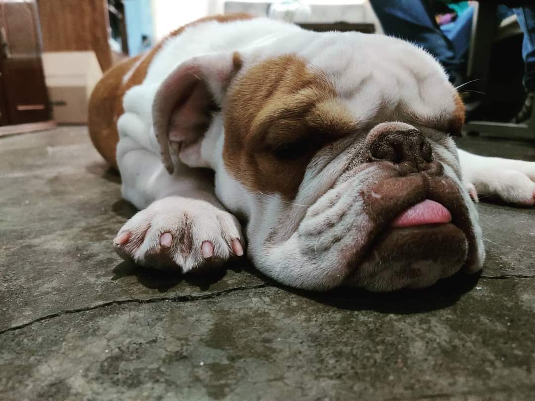 Chilling derpy | Scrolller