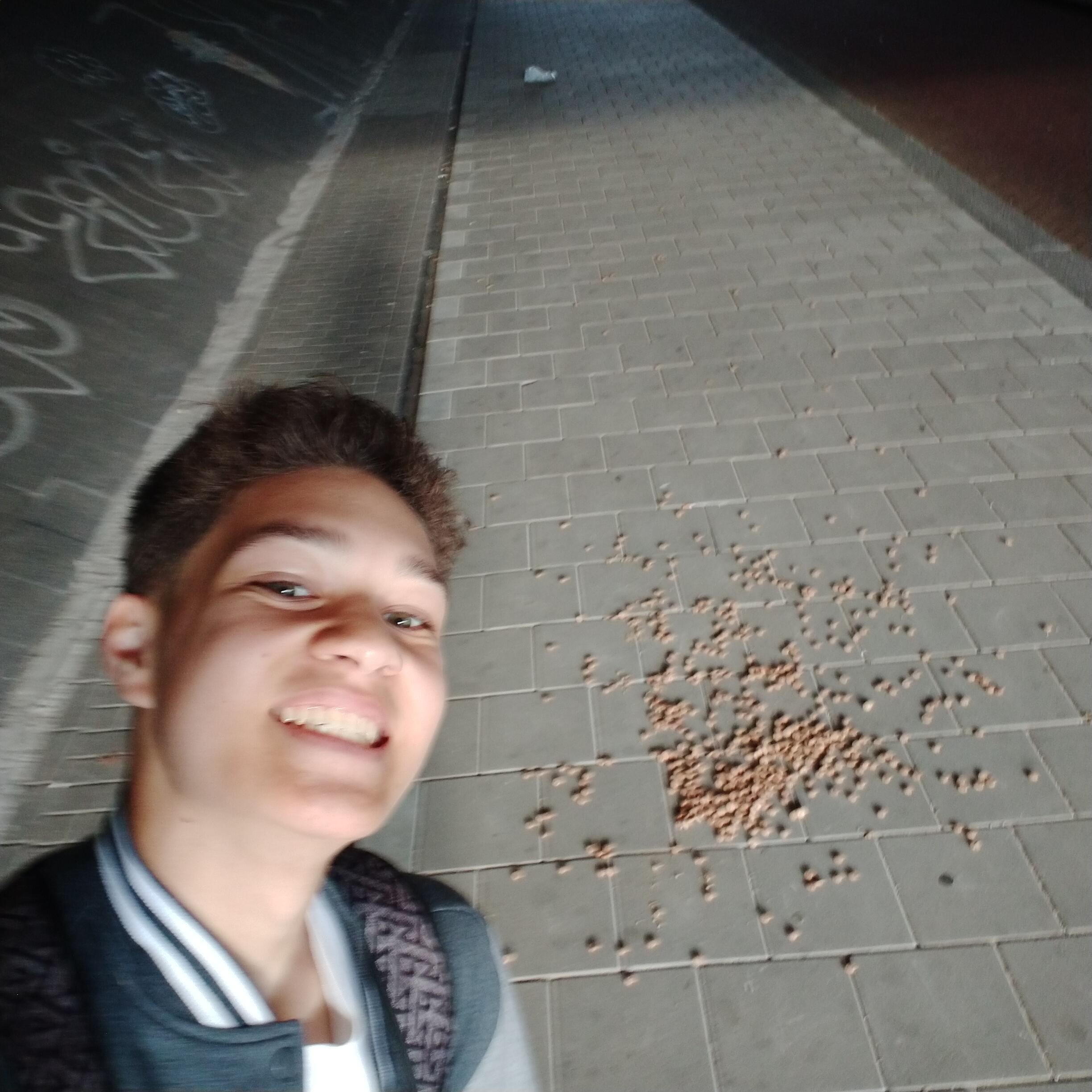 Chocolate chip rule | Scrolller