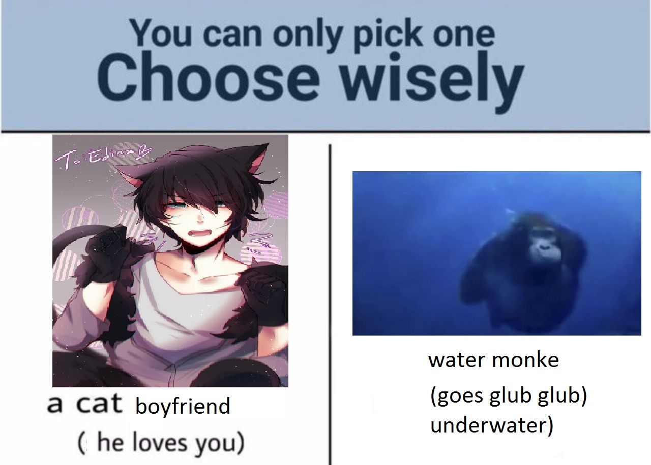 Choose wisely | Scrolller