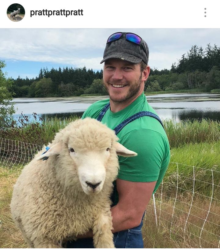 Chris Pratt and Popcorn! | Scrolller