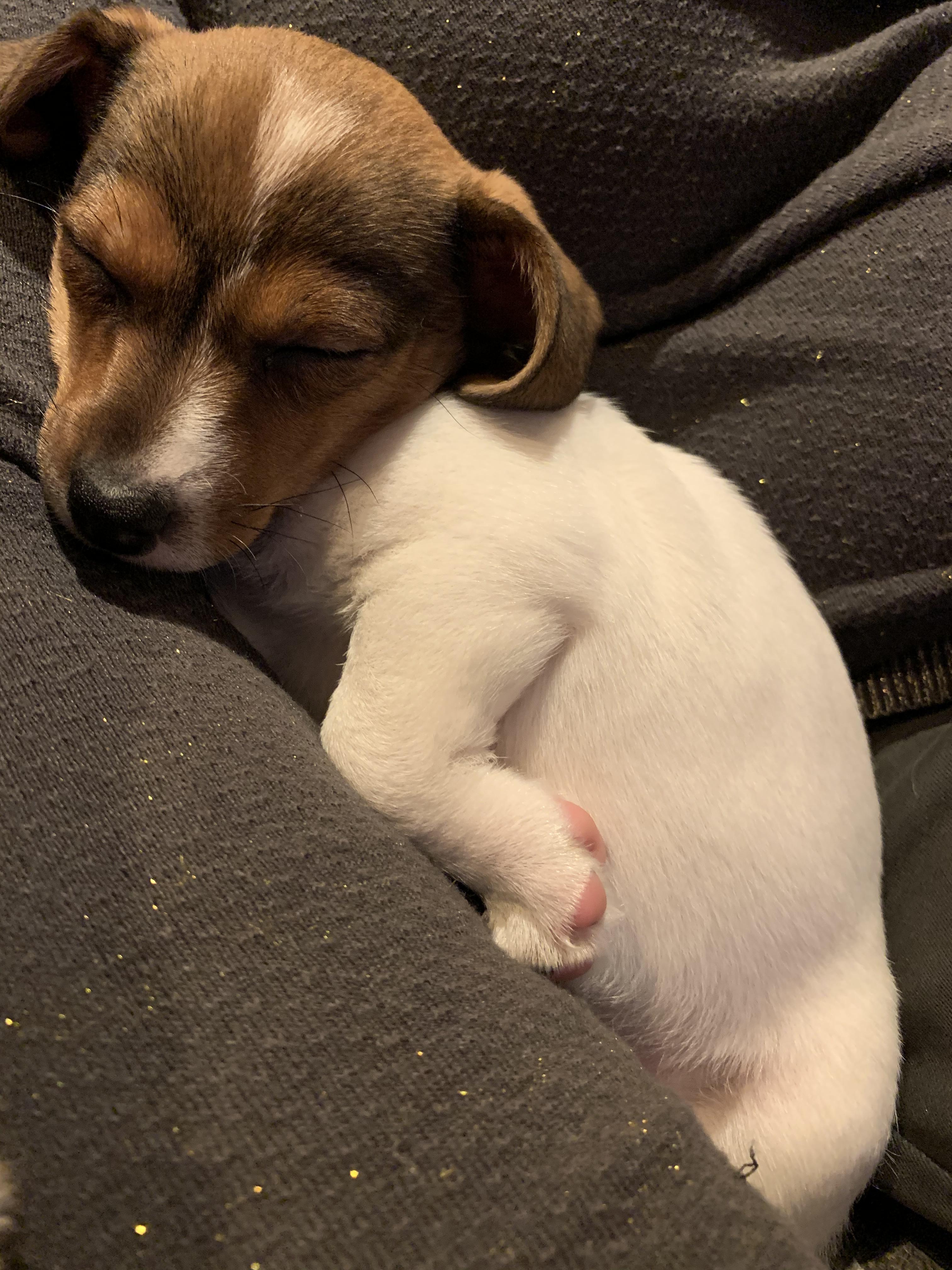 Christmas Eve is exhausting | Scrolller