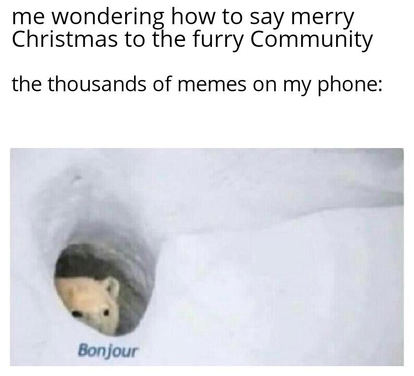 Christmas_irl | Scrolller