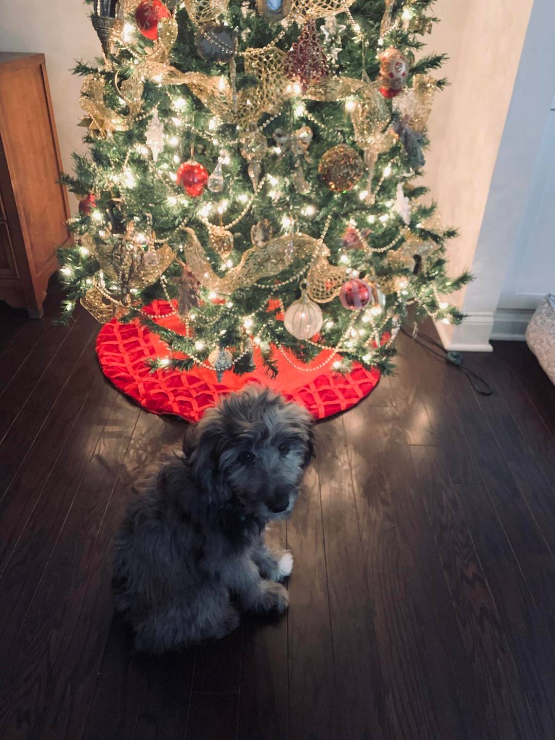 Christmas Throwback 2018 😇 | Scrolller