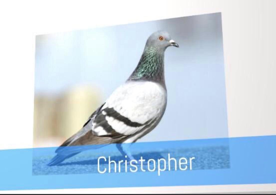 Christopher | Scrolller