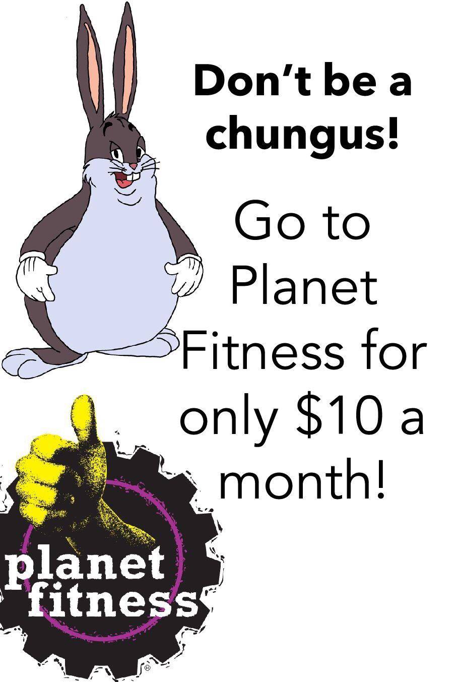 chungus sure is thicc | Scrolller