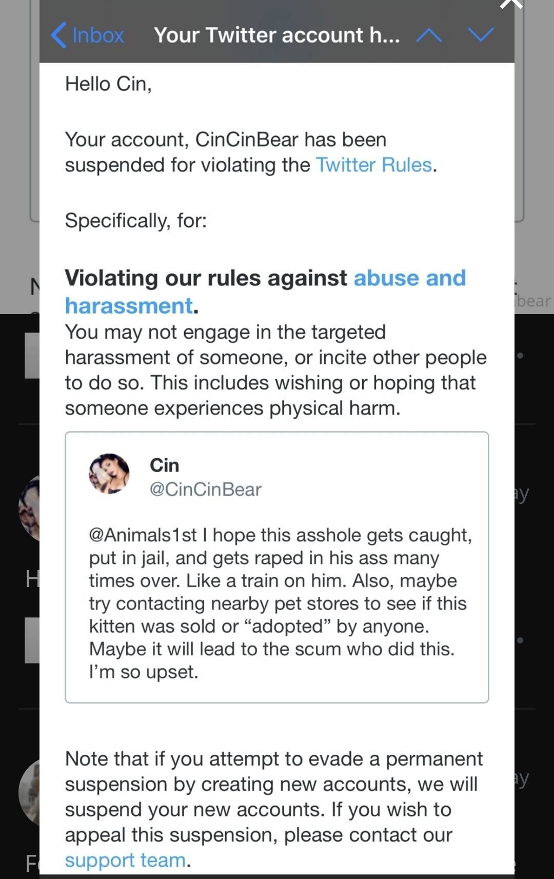 Cincinbear permanently suspended from Twitter | Scrolller