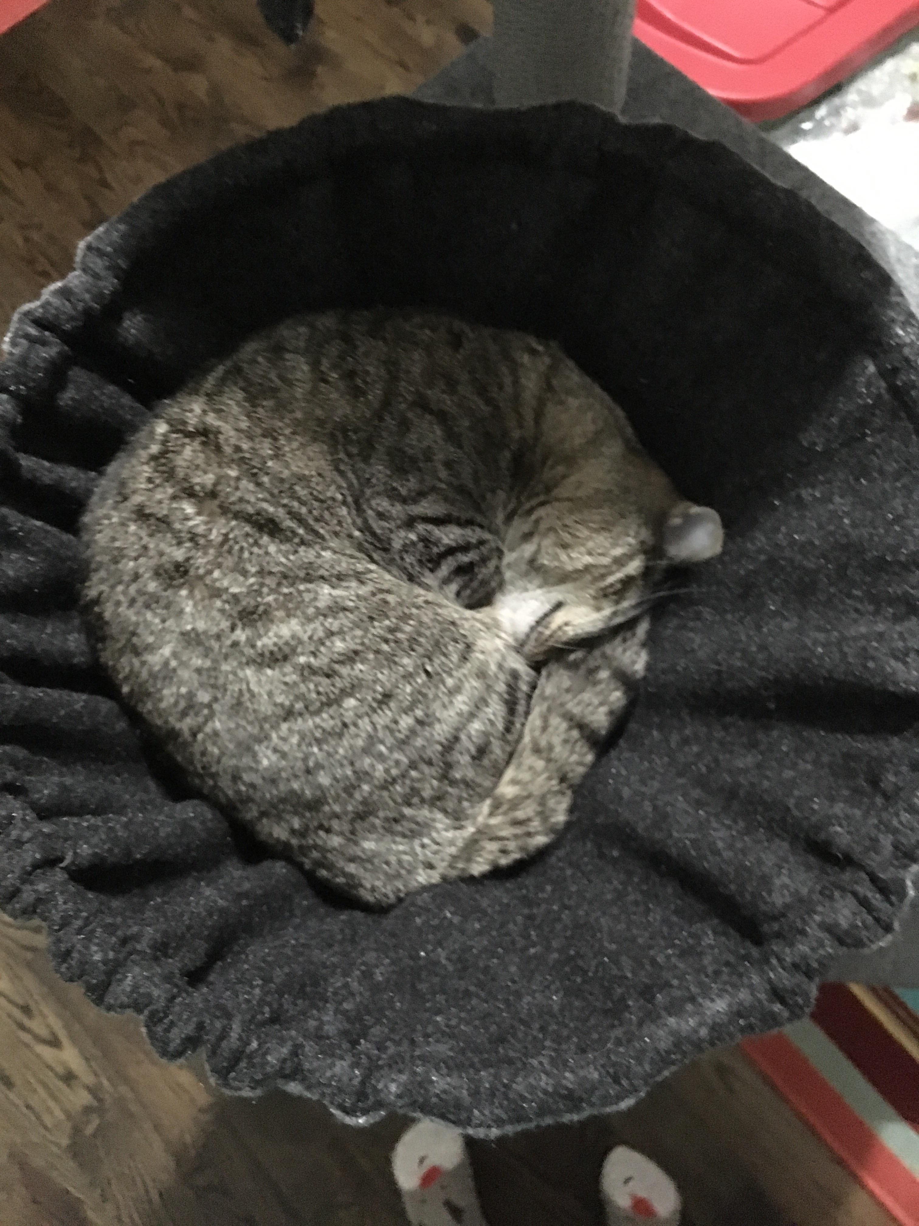 circular | Scrolller