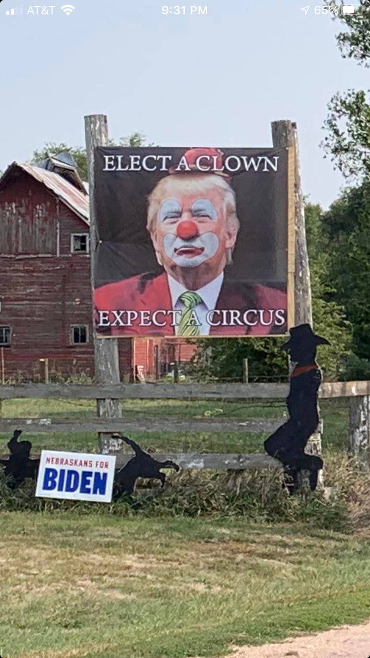 Circus Circus! | Scrolller