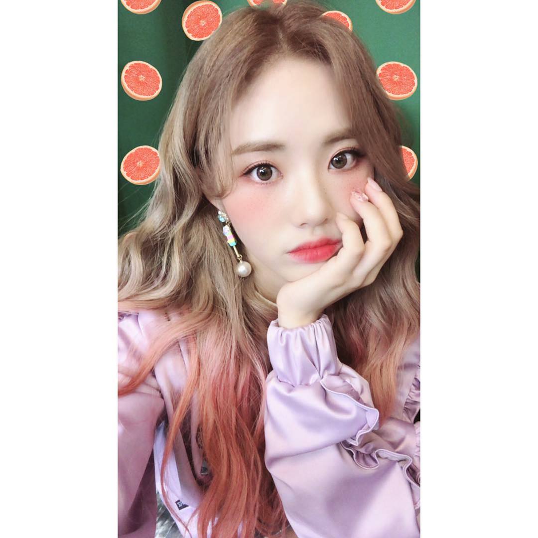 Citrus Jiwon | Scrolller