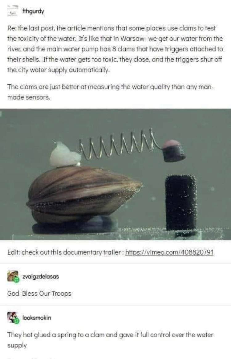 Clam controls water supply | Scrolller