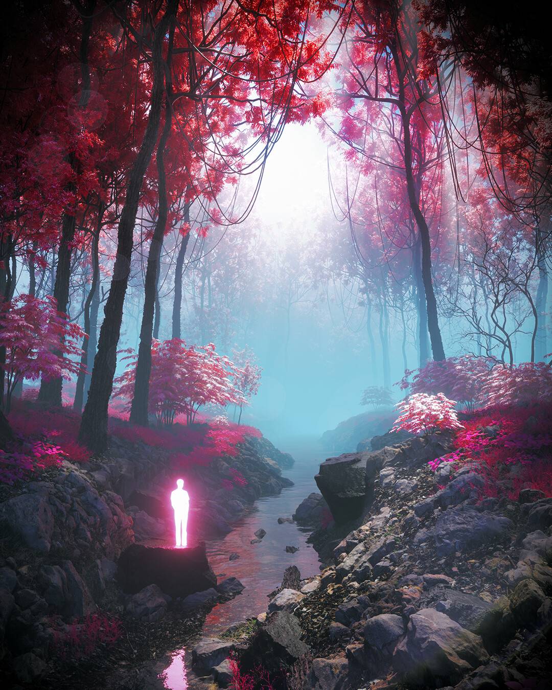 Clear by Josh Pierce | Scrolller