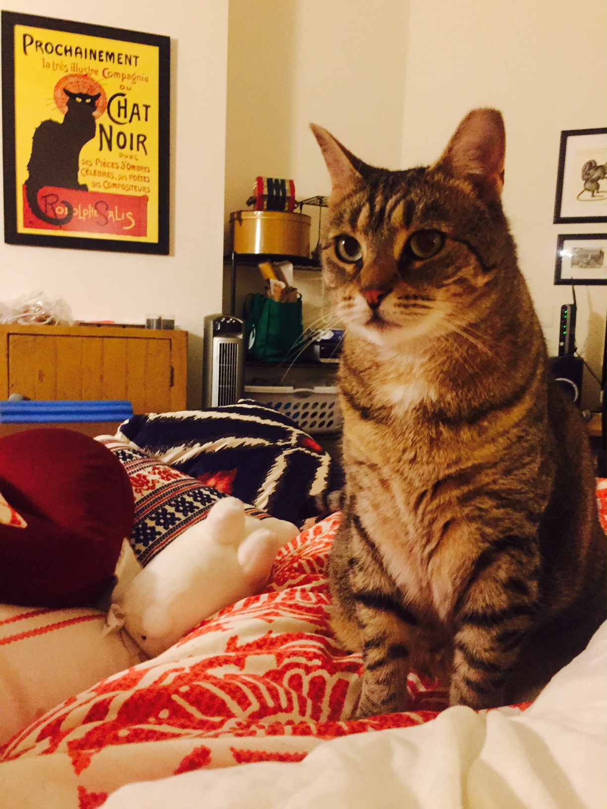 Cleveland, finally adjusting to humans after 3 years | Scrolller