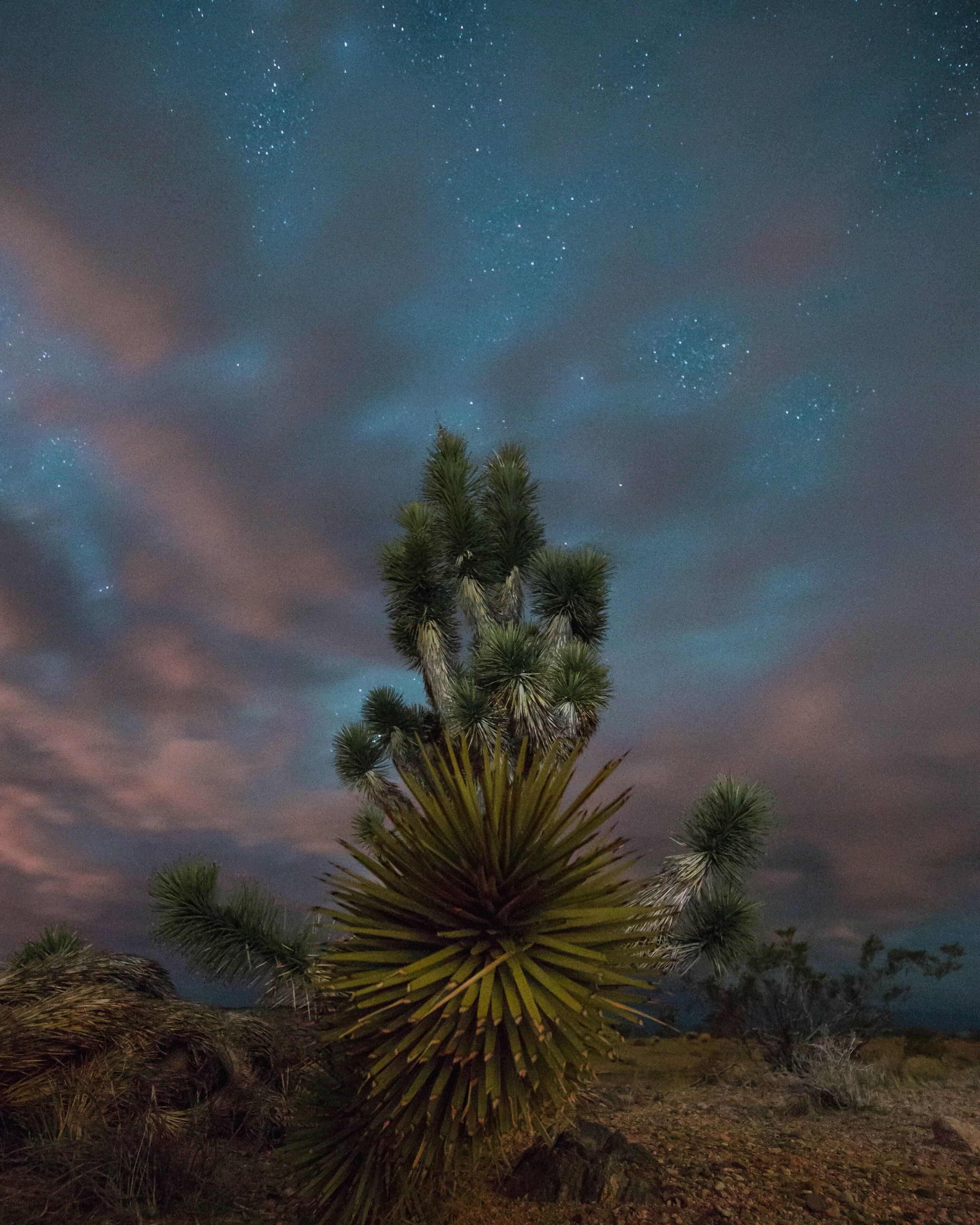 Clouds washing over a starry sky [OC][3043x3803] | Scrolller