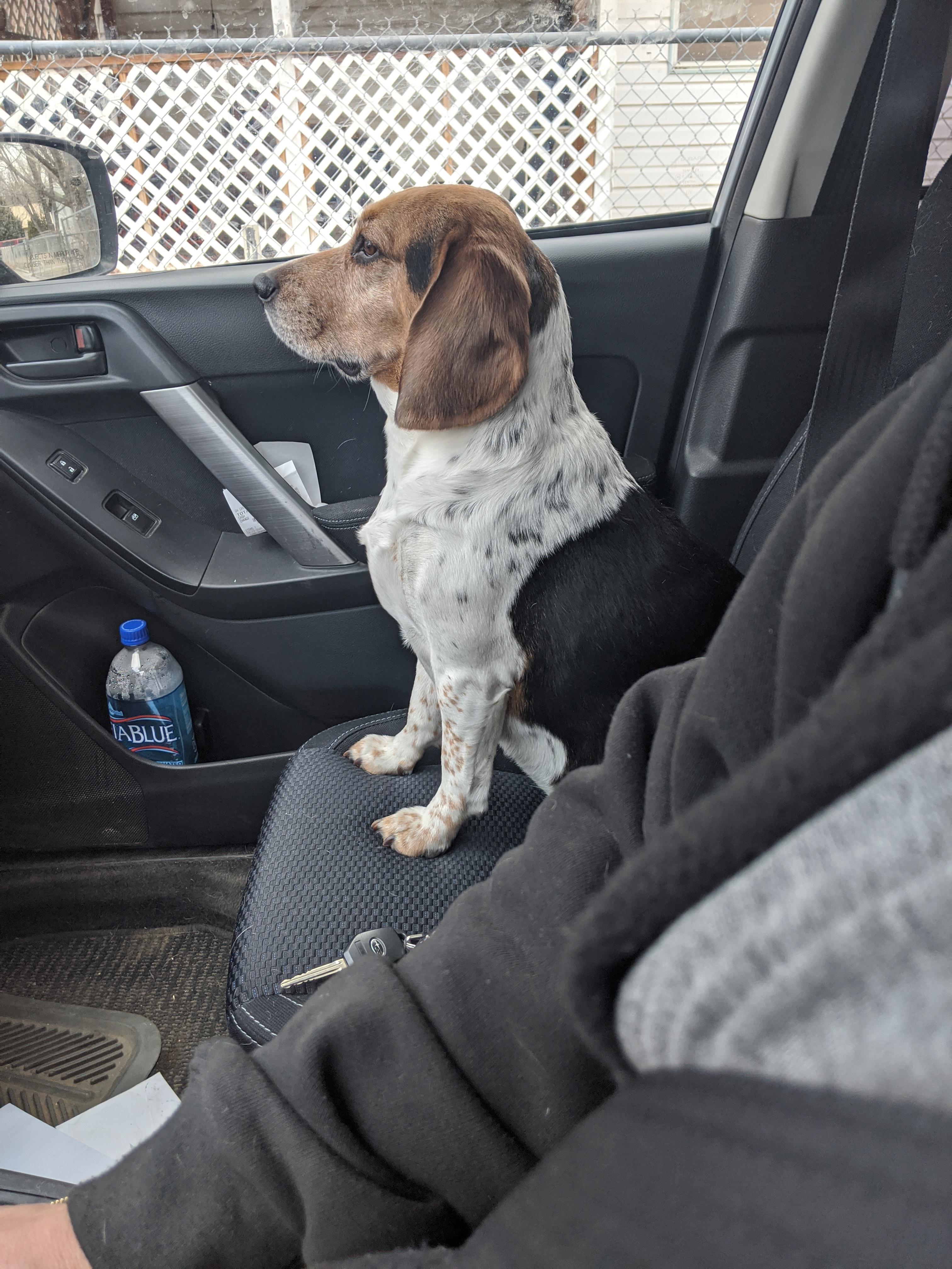 Co pilot | Scrolller