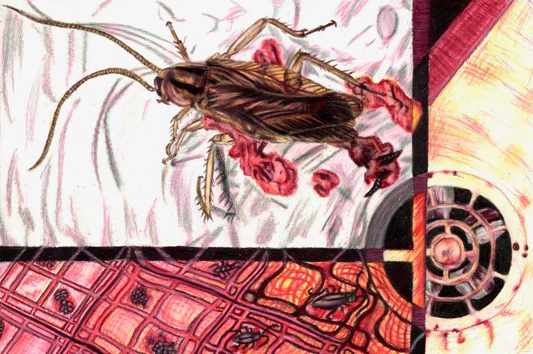 Cockroach Horror Scene, a colored pencil drawing | Scrolller