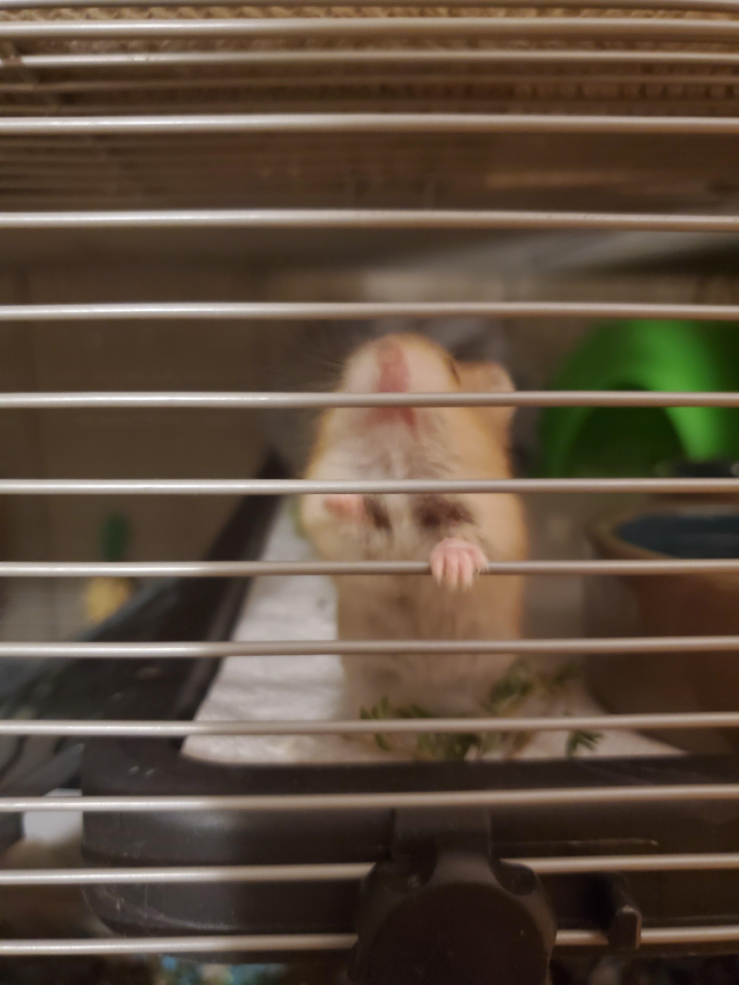 Coco is SO dramatic | Scrolller