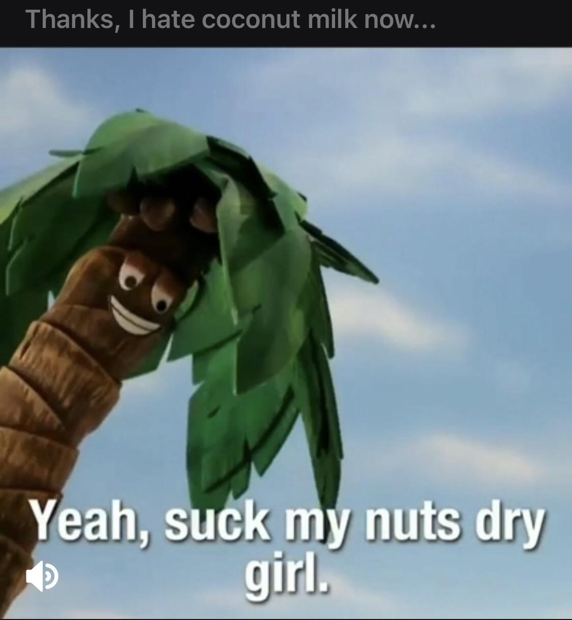 Coconut trees be like 🌴 | Scrolller