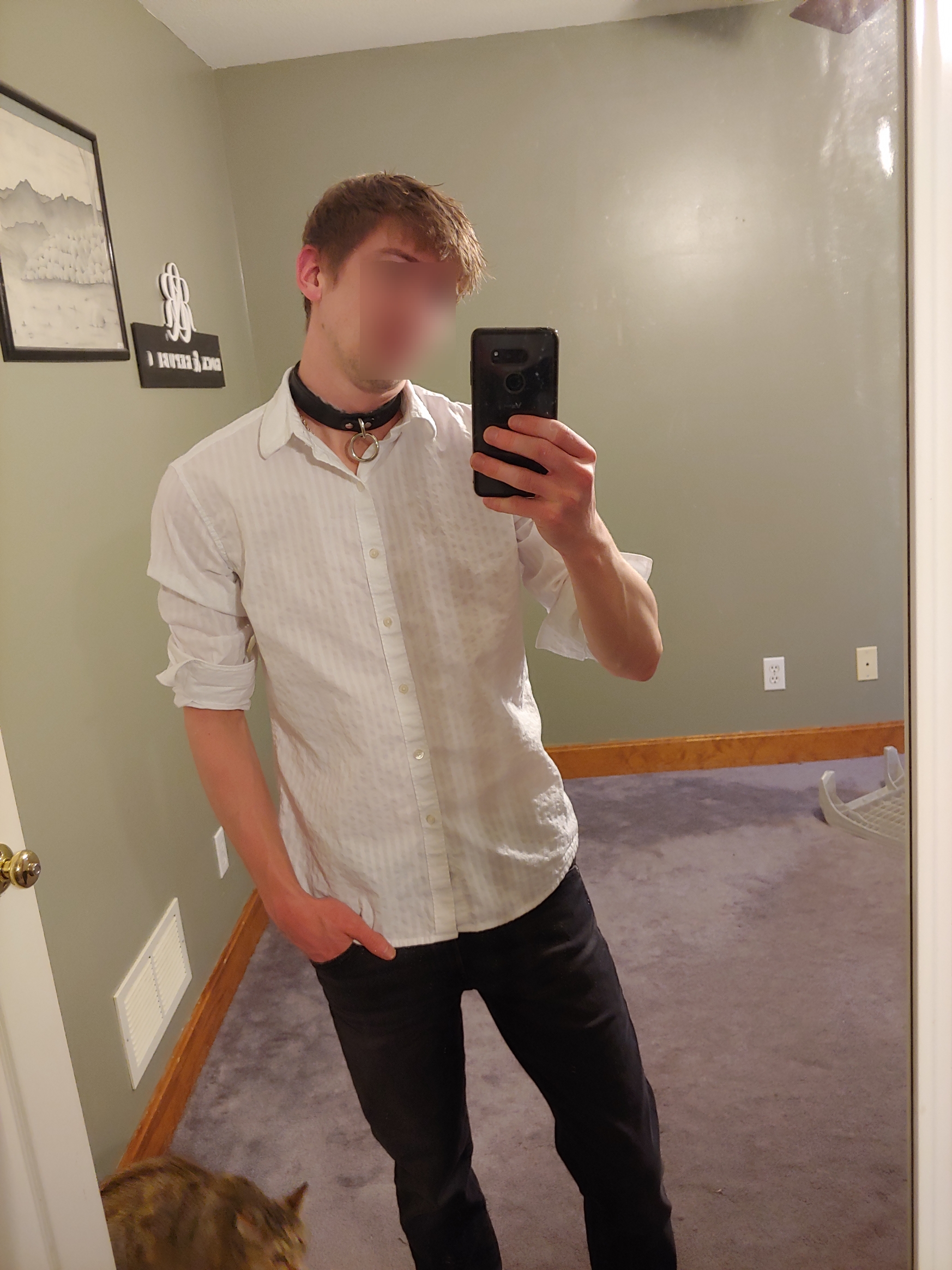 Collared and dressed. | Scrolller