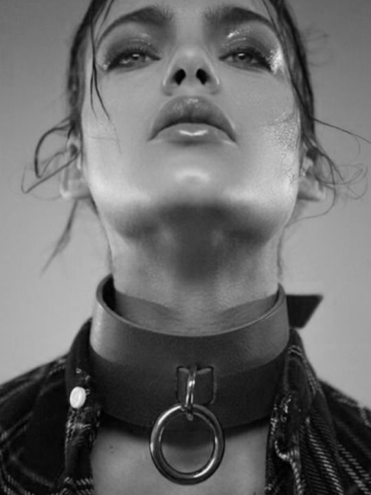 Collared | Scrolller