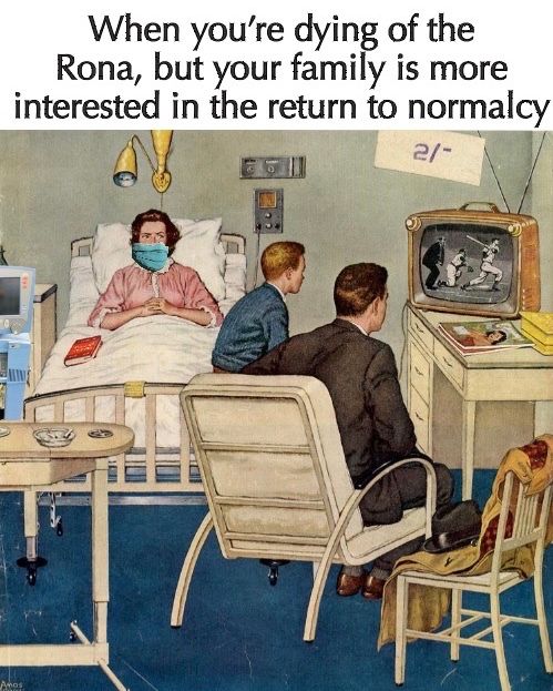 Collateral Damage | Scrolller