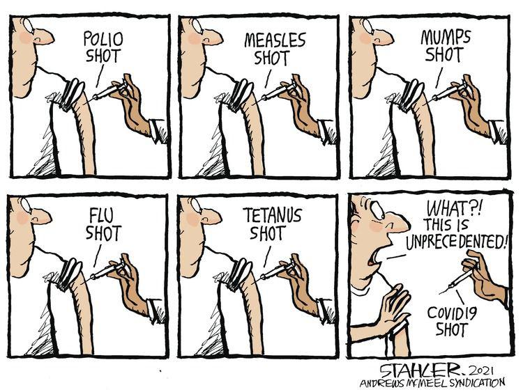 Collective Short Term Memory Loss | Scrolller