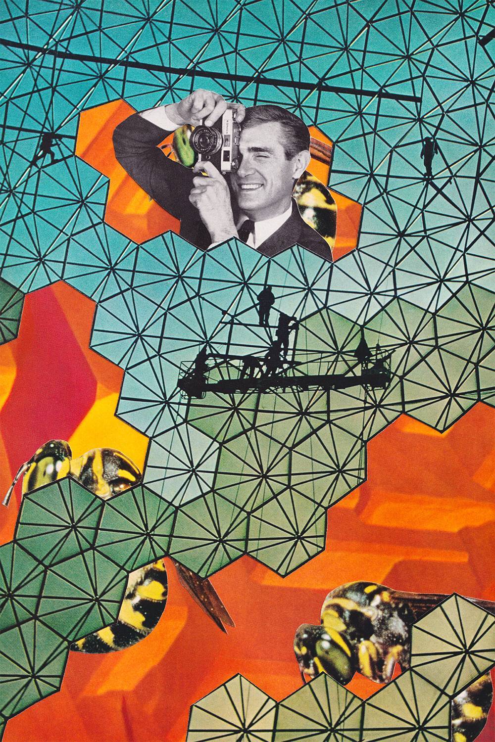 Colony Collapse Disorder [analog] | Scrolller