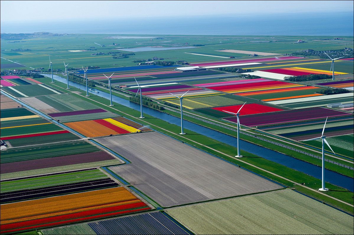 Tulip fields in Holland. (xpost /r/pics) | Scrolller
