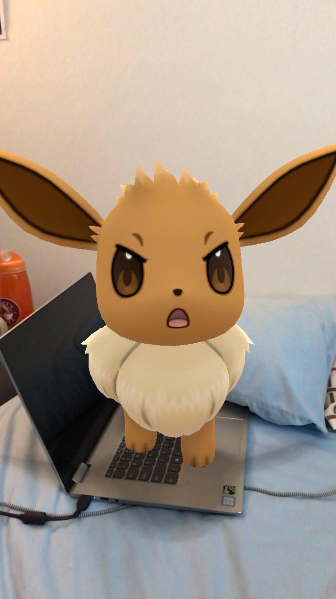 Come on Eevee I'm trying to work | Scrolller