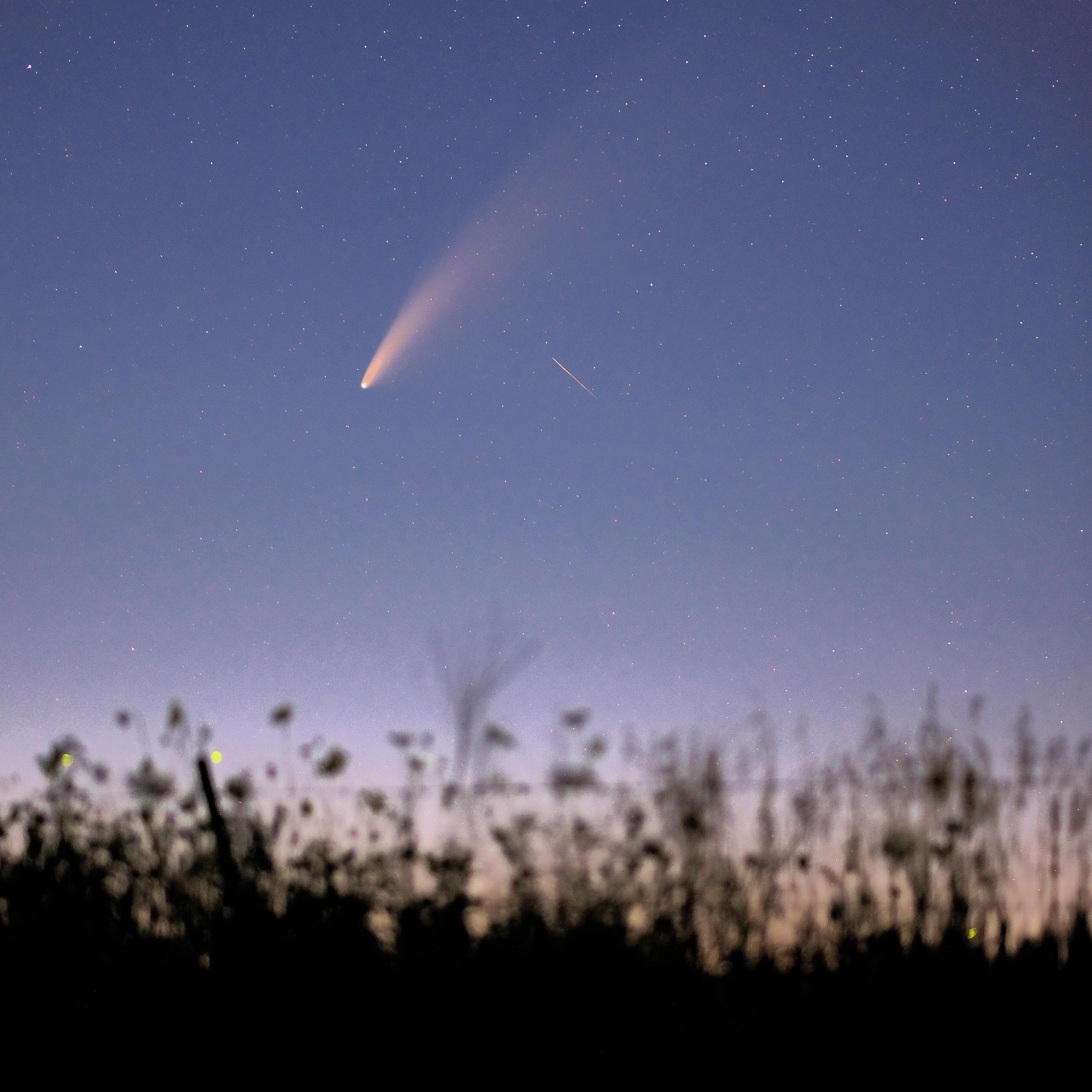 Comet Neowise, meteor, and lightning bugs | Scrolller
