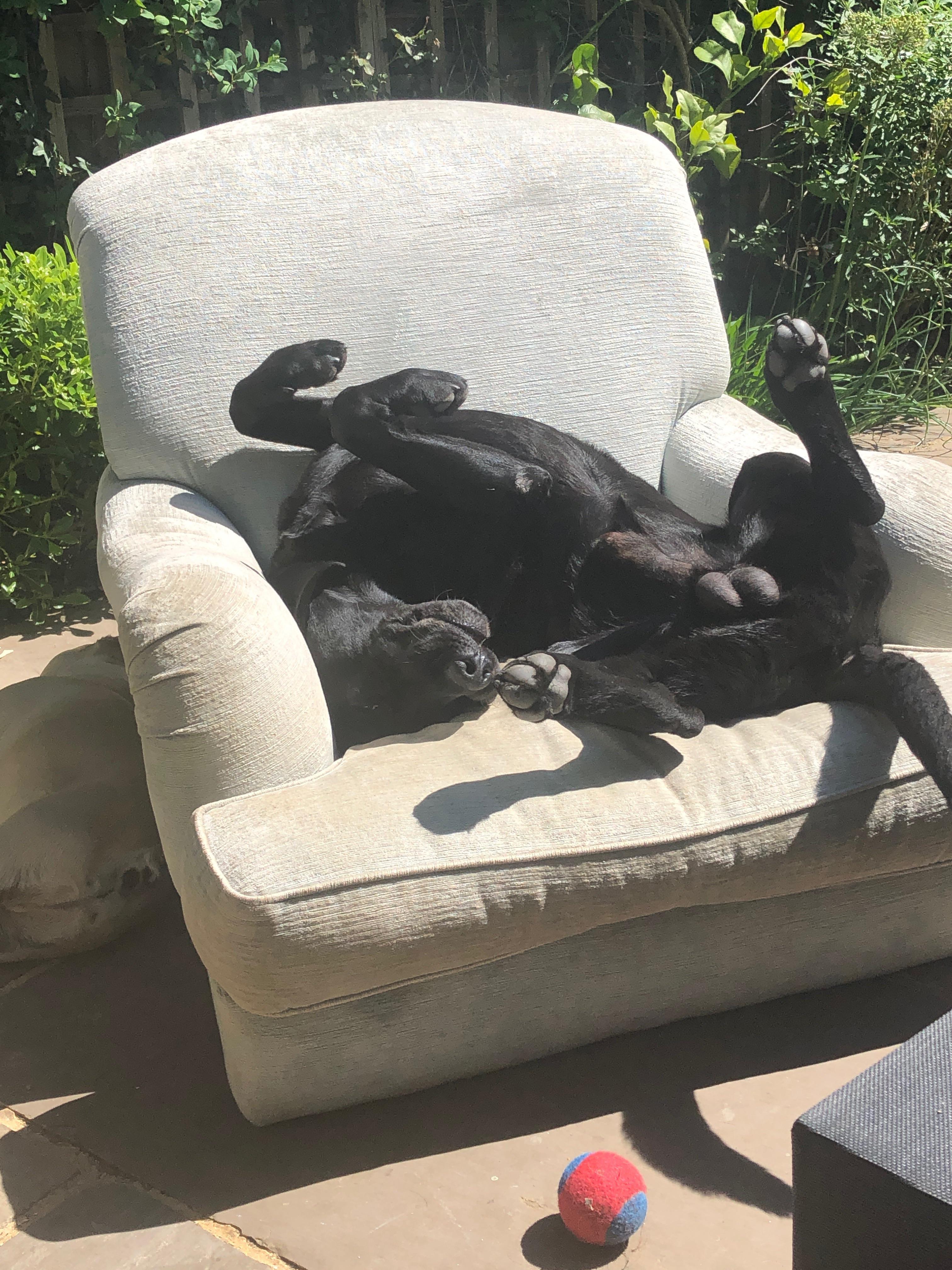 Comfy mate? | Scrolller