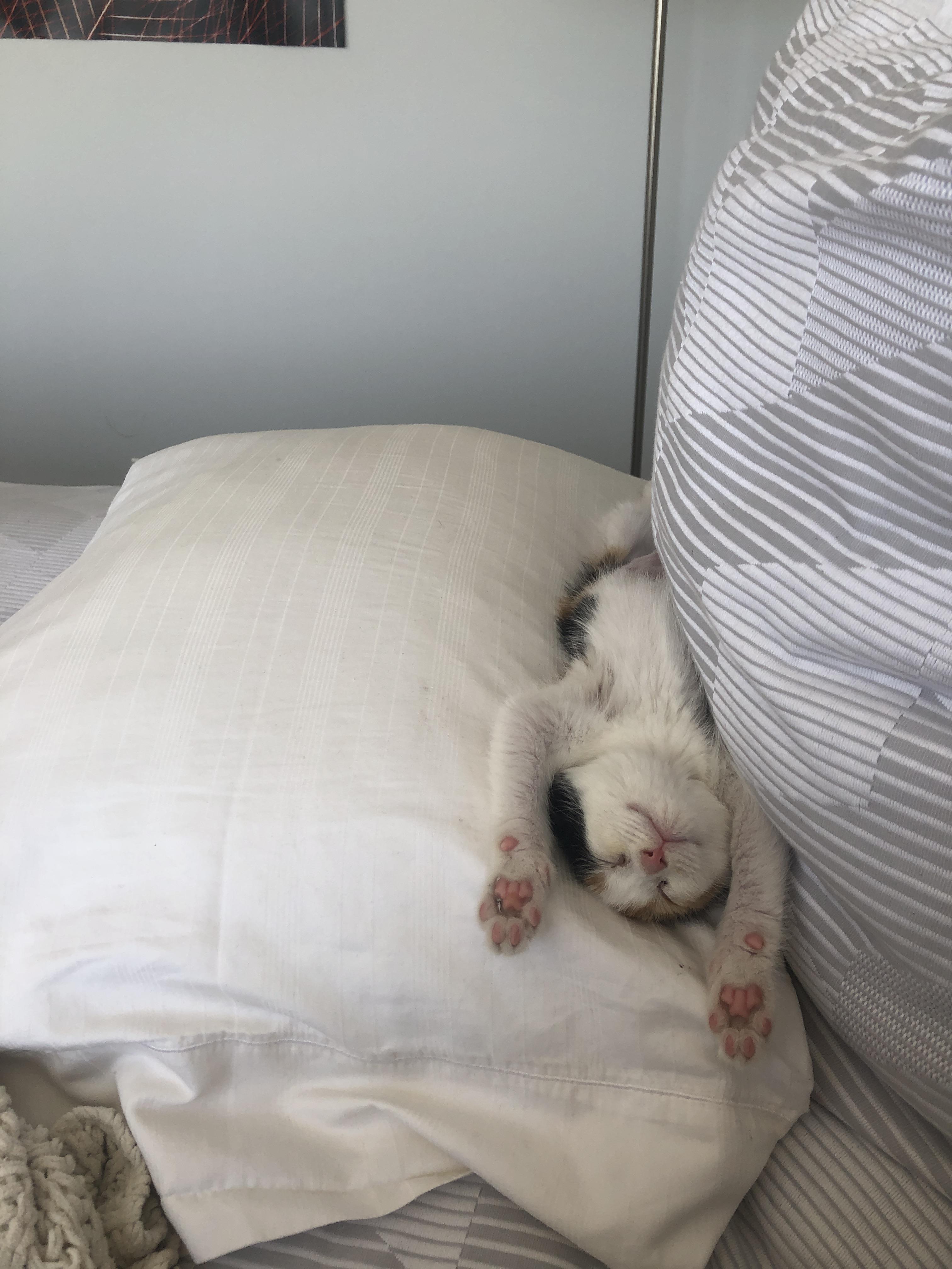 Comfy toe beans | Scrolller