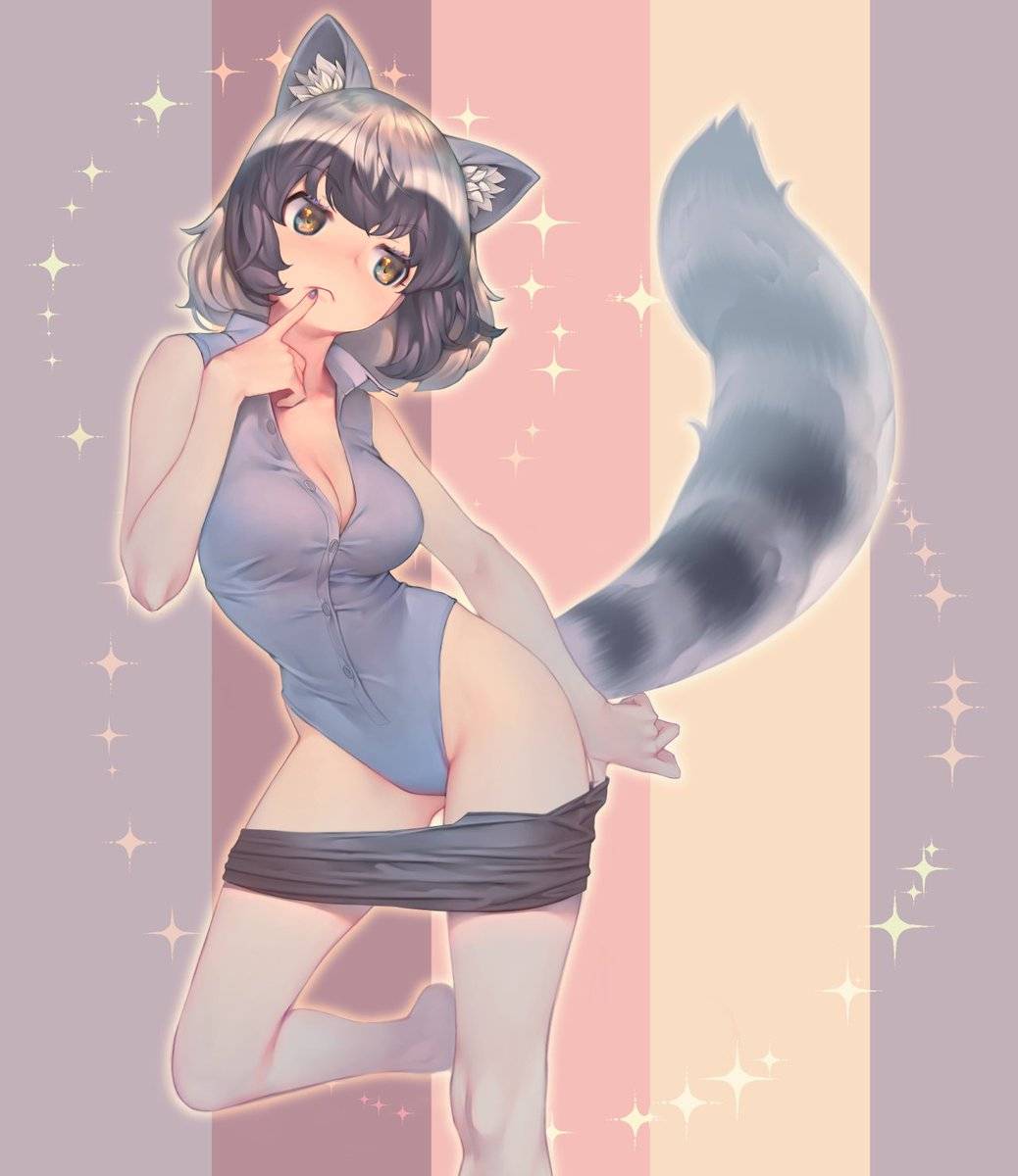 Common Raccoon | Scrolller