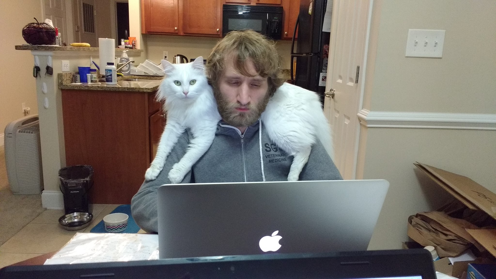 Compromise | Scrolller