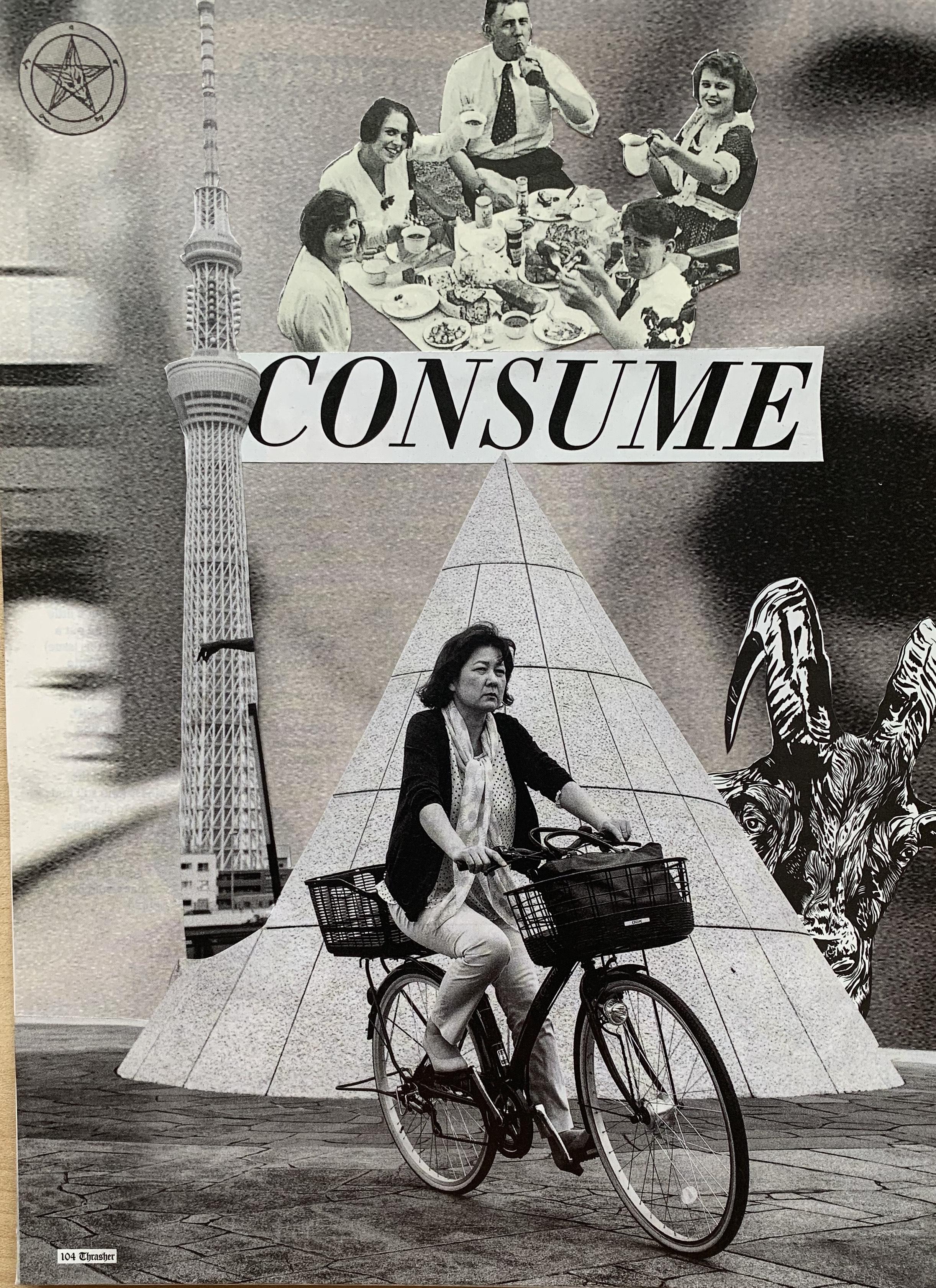 CONSUME [analog] | Scrolller