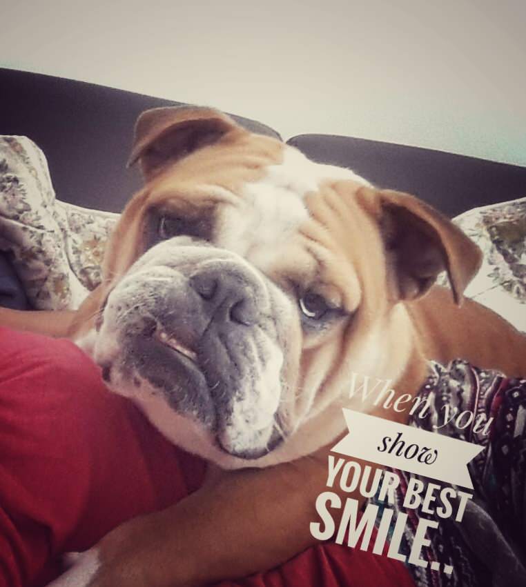 Cookie and her best smile | Scrolller